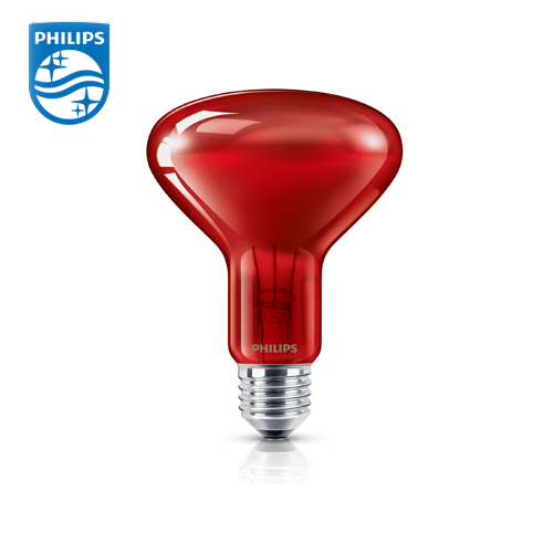 PHILIPS R95 IR 100W E27 220-240V Red HG 1CT/20 923244544201